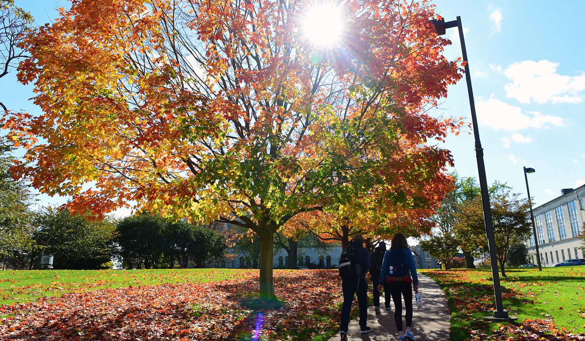 Fall for CatholicU - Catholic University of America, Washington, DC | CUA